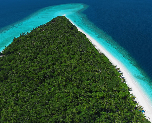 Niva Dhigali | The Maldives Experts for all Resort Hotels and Holiday ...