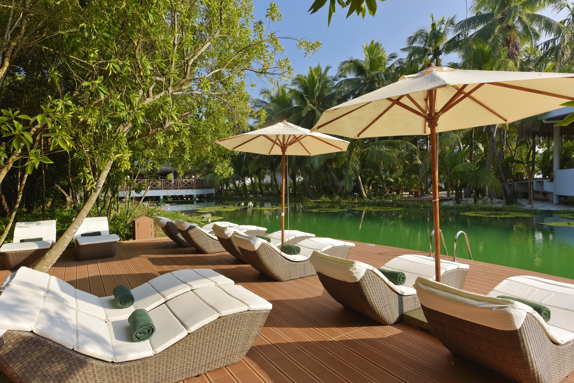 Dreamland | The Maldives Experts for all Resort Hotels and Holiday Options