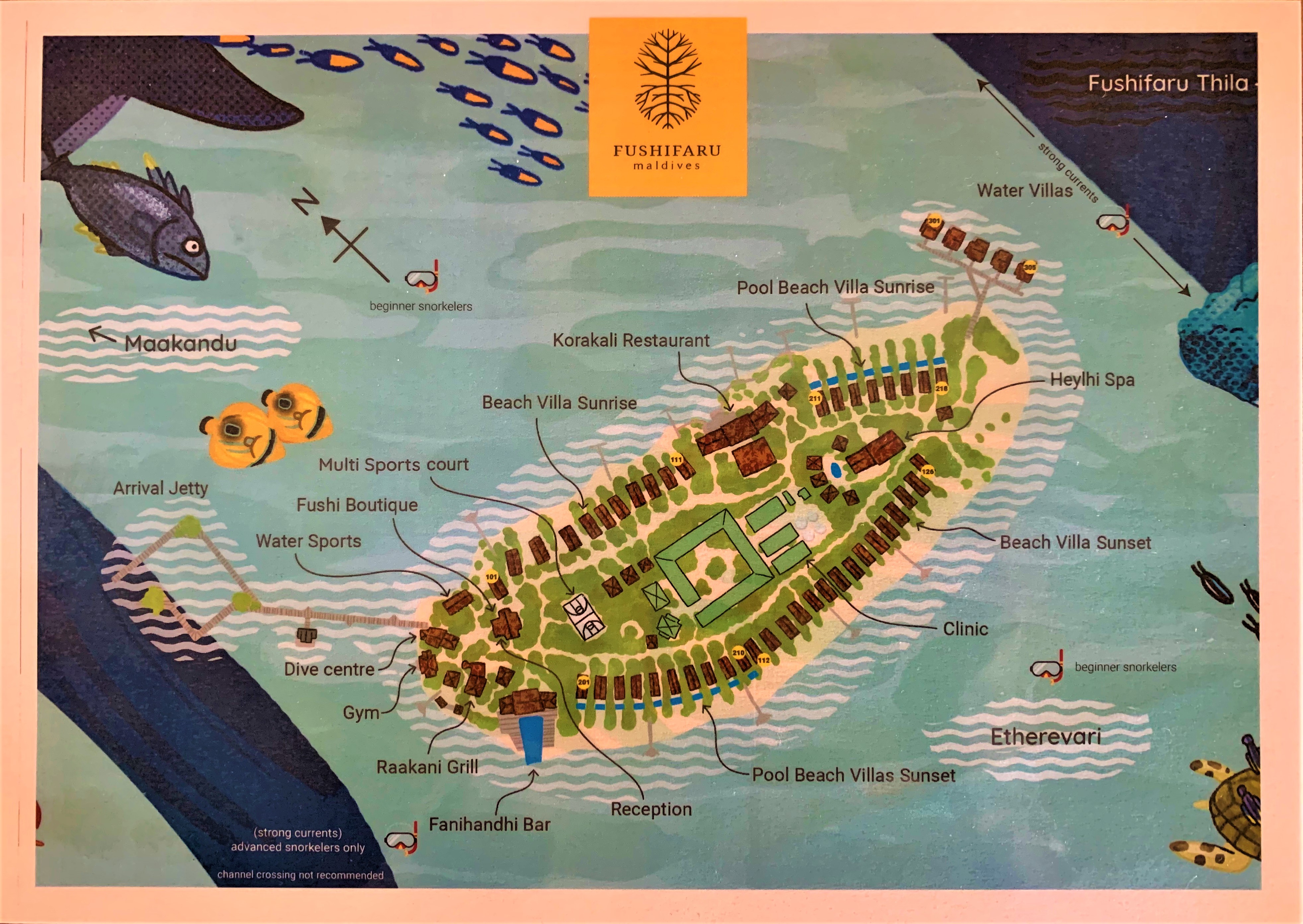 Fushifaru | The Maldives Experts for all Resort Hotels and Holiday Options