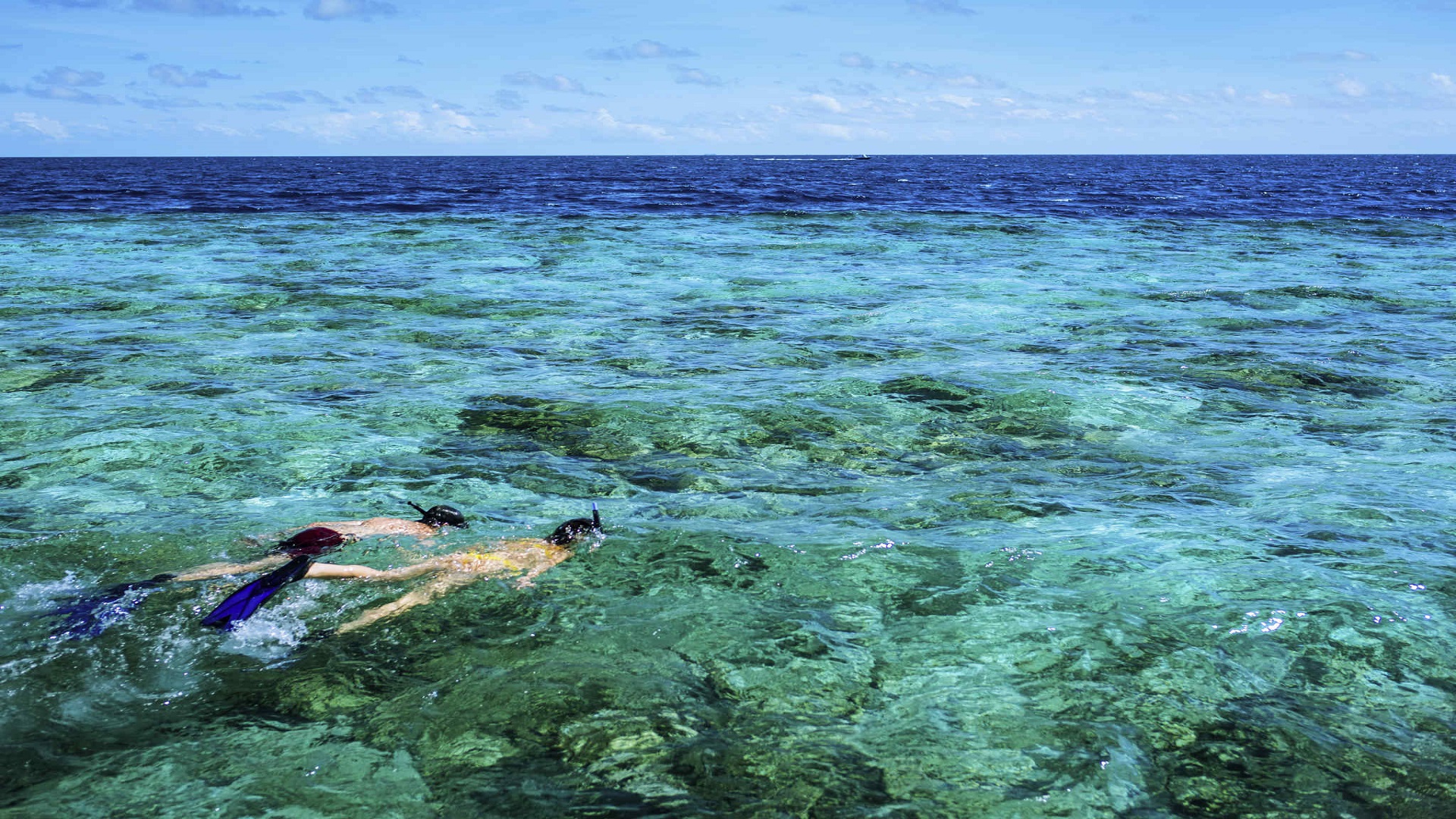 Mercure Maldives Kooddoo | The Maldives Experts for all Resort Hotels ...