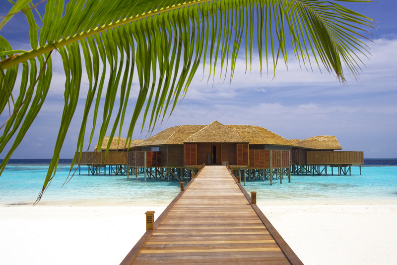 Lily Beach Resort | The Maldives Experts for all Resort Hotels and ...